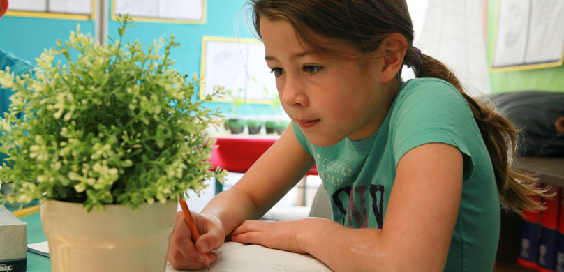 Health & Well-Being - Chris Akkerman School