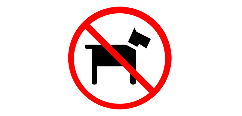 School Property - Chris Akkerman School